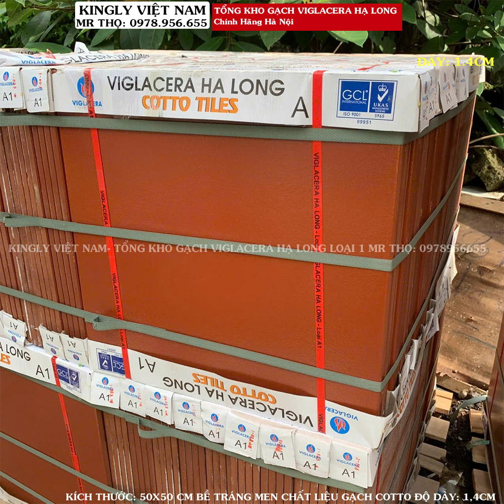 Gạch Cotto đỏ Tráng Men Viglacera Hạ Long 50x50 A1