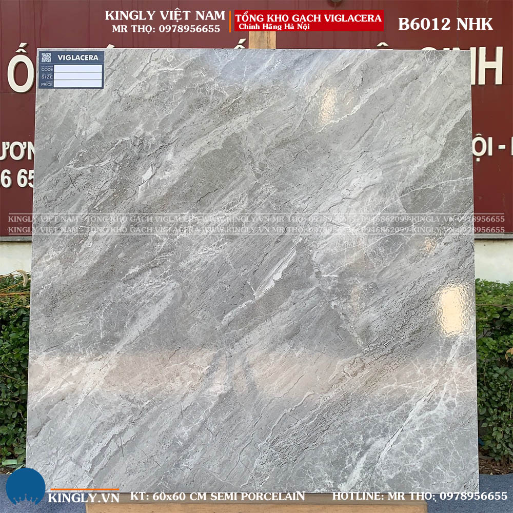 Gạch Granite Viglacera 60x60 TS3-617 Loại 1