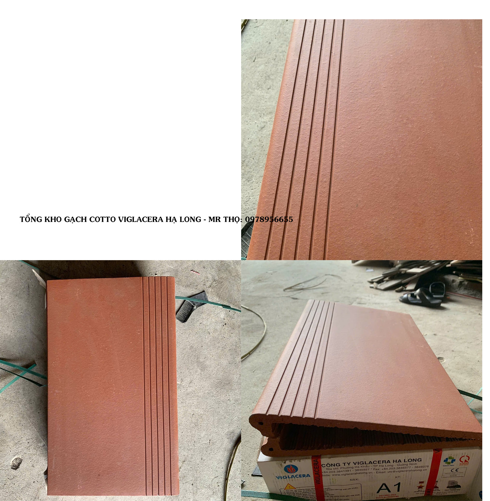 Gạch Bậc Hạ Long 500x500 đỏ Đậm Bề mặt mộc A1